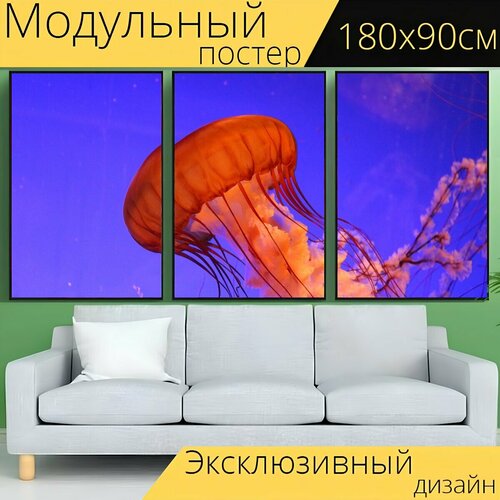 Модульный постер "Медуза, водный, существо" 180 x 90 см. для интерьера