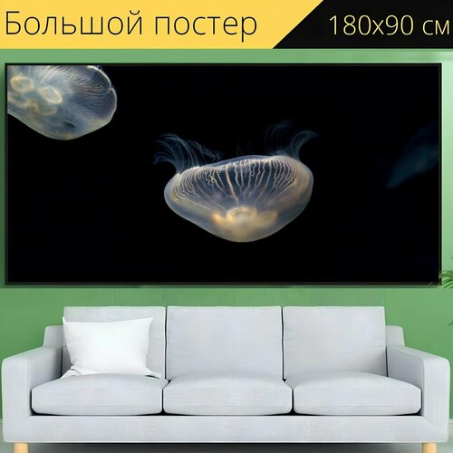 Большой постер "Медуза, море желе, животные" 180 x 90 см. для интерьера