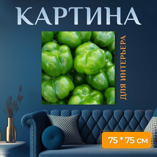 Картина на холсте "Зеленый перец, овощи, питание" на подрамнике 75х75 см. для интерьера