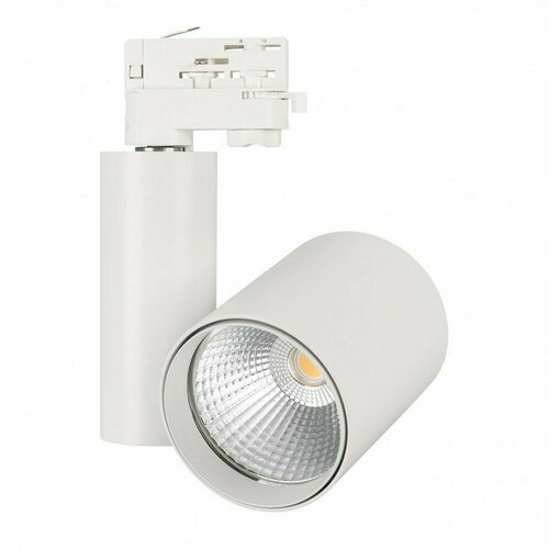 Arlight Светильник LGD-SHOP-4TR-R100-40W Warm SP2900-Meat (WH, 24 deg) 026288