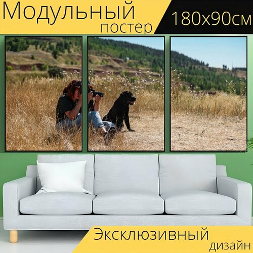 Модульный постер "Фотограф, собака, лабрадор" 180 x 90 см. для интерьера