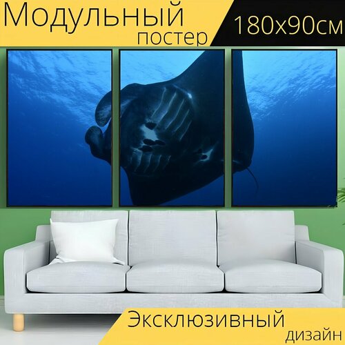 Модульный постер "Рыбы, подводное плавание, подводный" 180 x 90 см. для интерьера