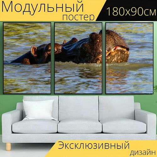 Модульный постер "Дельта окаванго, дикая природа, животные" 180 x 90 см. для интерьера