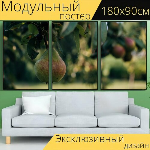 Модульный постер "Груша, фрукты, дерево" 180 x 90 см. для интерьера