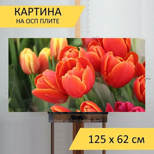 Картина на ОСП 125х62 см. "Тюльпаны, цветы, марта" горизонтальная, для интерьера, с креплениями