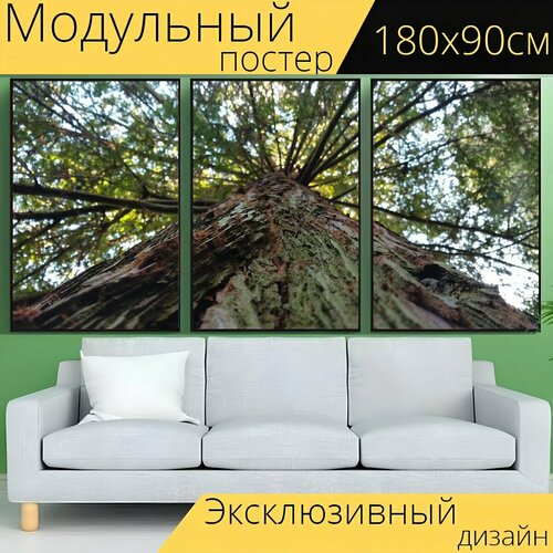 Модульный постер "Ствол, дерево, лес" 180 x 90 см. для интерьера