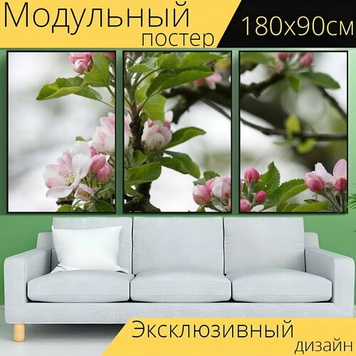Модульный постер "Цветок яблони, цветок, цвести" 180 x 90 см. для интерьера