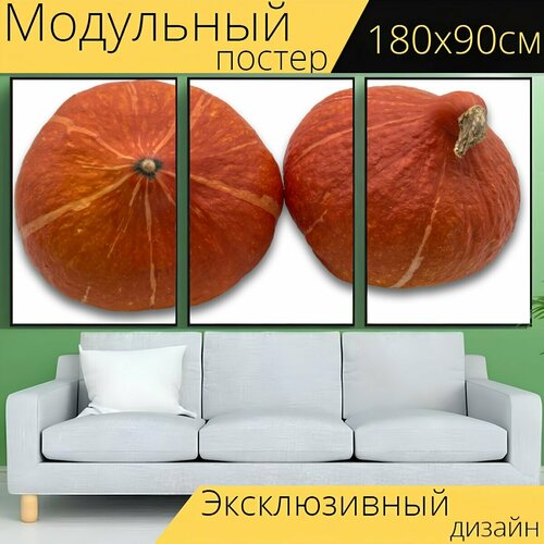 Модульный постер "Тыква, еда, овощи" 180 x 90 см. для интерьера