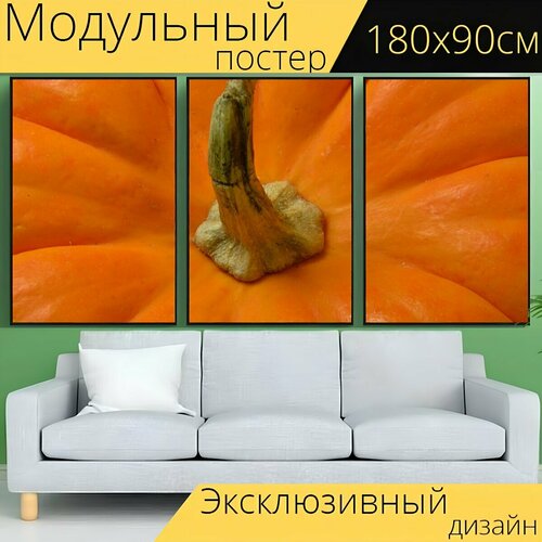 Модульный постер "Тыква, овощной, питание" 180 x 90 см. для интерьера