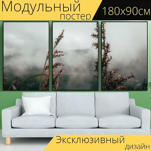 Модульный постер "Растения, сухой, туман" 180 x 90 см. для интерьера