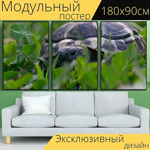 Модульный постер "Черепаха, животное, броня" 180 x 90 см. для интерьера