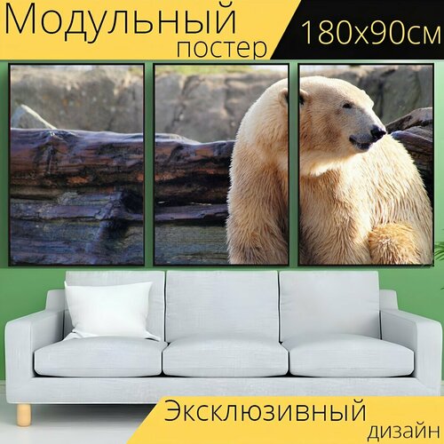 Модульный постер "Полярный медведь, животное, дикие" 180 x 90 см. для интерьера