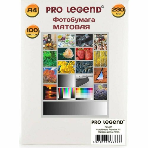 Фотобумага Pro Legend PL5565