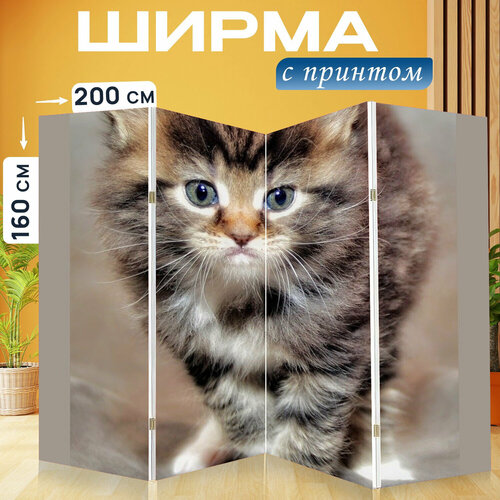 Ширма перегородка с принтом "Котенок, кошка ребенок, сердитый кот" на холсте - 200x160 см. для зонирования, раскладная