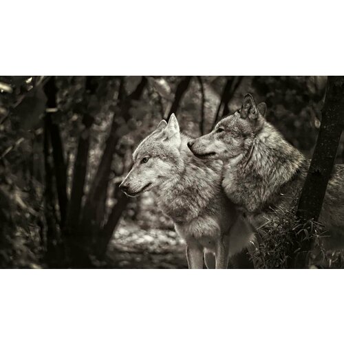 Картина на холсте 60x110 LinxOne "Волки животные хищники" интерьерная для дома / на стену / на кухню / с подрамником