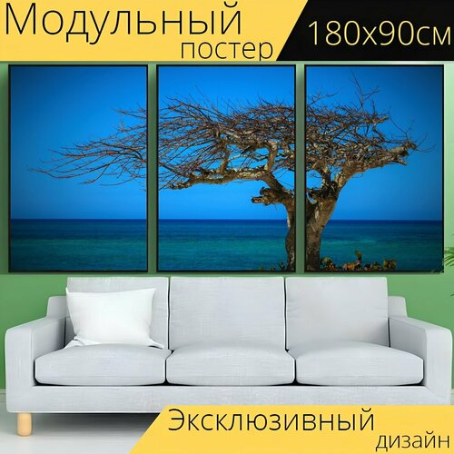 Модульный постер "Куба, летом, дерево" 180 x 90 см. для интерьера