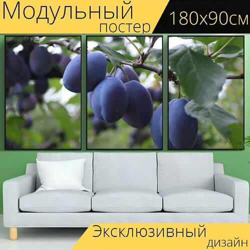 Модульный постер "Слива, дерево, фрукты" 180 x 90 см. для интерьера