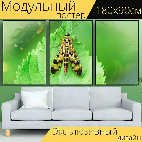 Модульный постер "Скорпионница общее, девушки, насекомое" 180 x 90 см. для интерьера