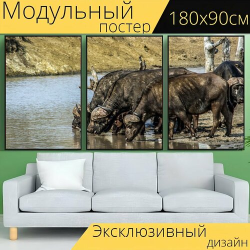 Модульный постер "Мыс буйвола, буйвол, бычий" 180 x 90 см. для интерьера