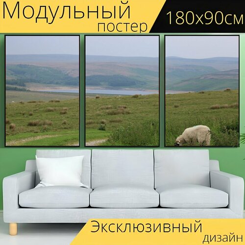 Модульный постер "Вересковая пустошь, стадо, овец" 180 x 90 см. для интерьера