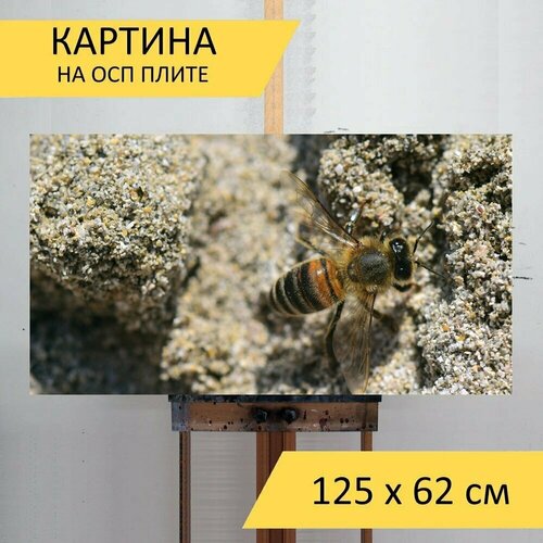Картина на ОСП 125х62 см. "Пчела, песок, насекомое" горизонтальная, для интерьера, с креплениями