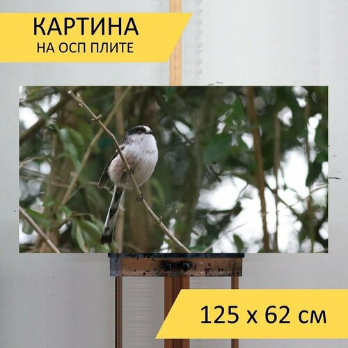 Картина на ОСП 125х62 см. "Орит, птица, природа" горизонтальная, для интерьера, с креплениями