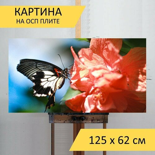 Картина на ОСП 125х62 см. "Бабочка, цвести, бабочки" горизонтальная, для интерьера, с креплениями