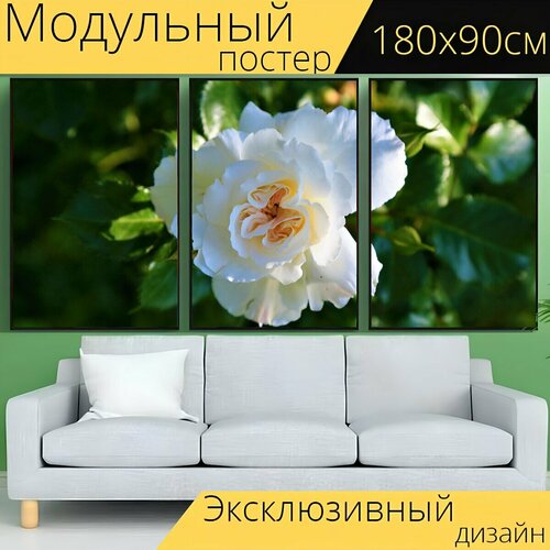 Модульный постер "Роуз, цветок, весна" 180 x 90 см. для интерьера