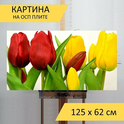 Картина на ОСП 125х62 см. "Тюльпаны, цветок, искусственно" горизонтальная, для интерьера, с креплениями