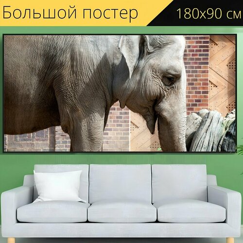 Большой постер "Слон, животное, толстокожий" 180 x 90 см. для интерьера