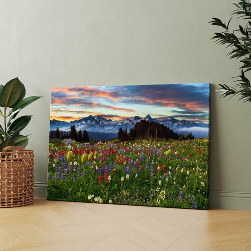 Картина на холсте (Природа горы цветы, лес цветущий луг, альпийские луга франции.) 40x60 см. Интерьерная, на стену.