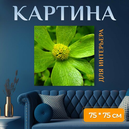 Картина на холсте "Зеленый цветок, цветок, флора" на подрамнике 75х75 см. для интерьера