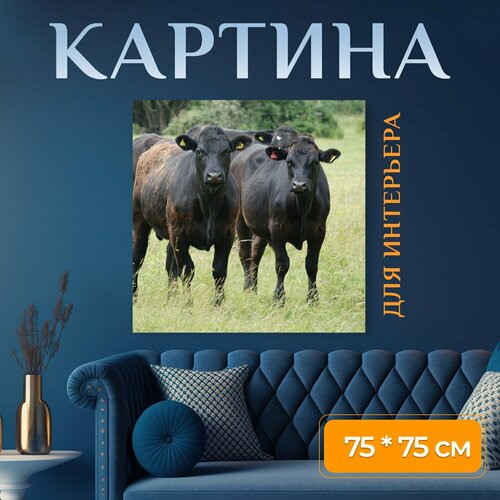 Картина на холсте "Крупный рогатый скот, говядина, сельскохозяйственное животное" на подрамнике 75х75 см. для интерьера