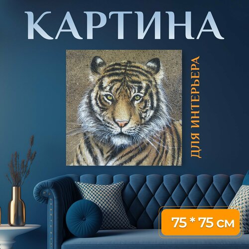 Картина на холсте "Тигр, стены искусства, стена" на подрамнике 75х75 см. для интерьера