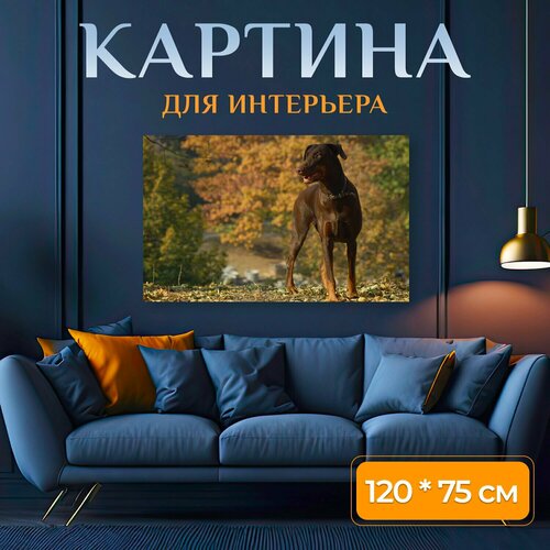 Картина на холсте "Собака, прогулка, осень" на подрамнике 120х75 см. для интерьера