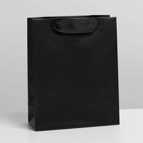 Пакет ламинированный «Чёрный», S 12 х 15 х 5.5 см (комплект из 24 шт)