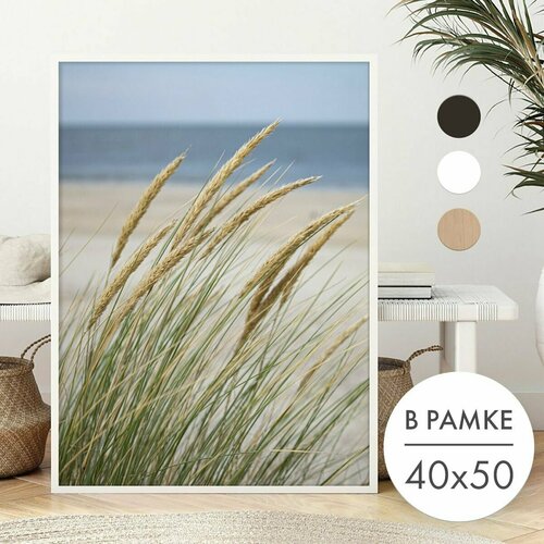Плакат Постер 40х50 В рамке "Трава у пляжа" для интерьера