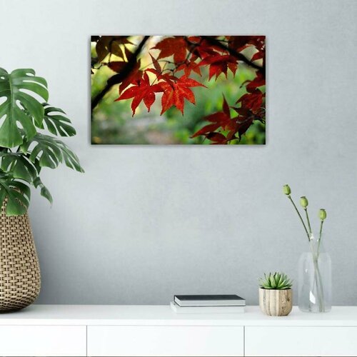 Картина на холсте 60x110 LinxOne "Японский клен, листья, ветка" интерьерная для дома / на стену / на кухню / с подрамником