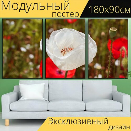 Модульный постер "Белые цветки, красные цветки, завод" 180 x 90 см. для интерьера