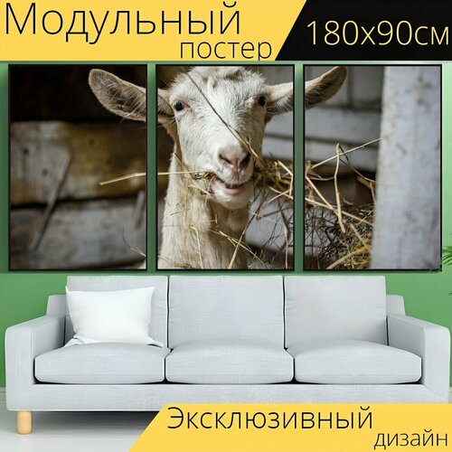 Модульный постер "Ферма, животные, домашний скот" 180 x 90 см. для интерьера