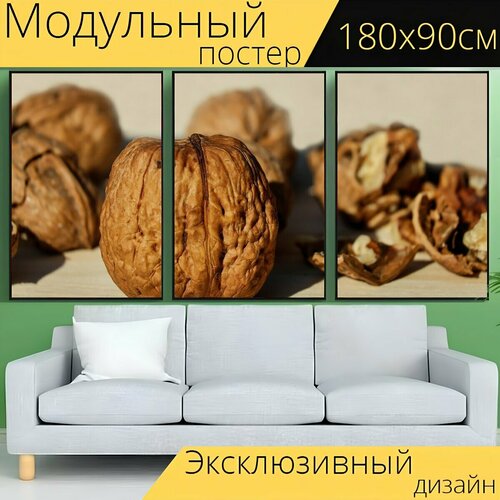 Модульный постер "Грецкие орехи, оболочка, орех" 180 x 90 см. для интерьера