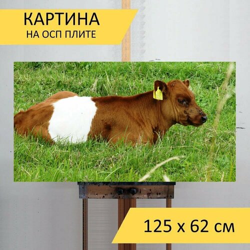 Картина на ОСП 125х62 см. "Корова, пастбище, млекопитающее" горизонтальная, для интерьера, с креплениями