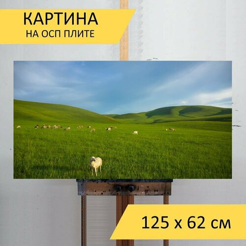 Картина на ОСП 125х62 см. "Пастбища, овец, внутренняя монголия" горизонтальная, для интерьера, с креплениями
