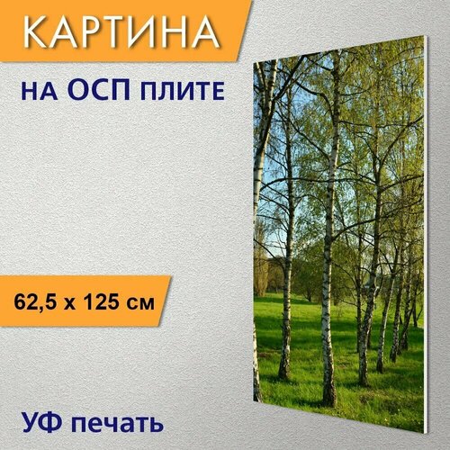 Вертикальная картина на ОСП "Березы, деревья, весна" 62x125 см. для интерьериа