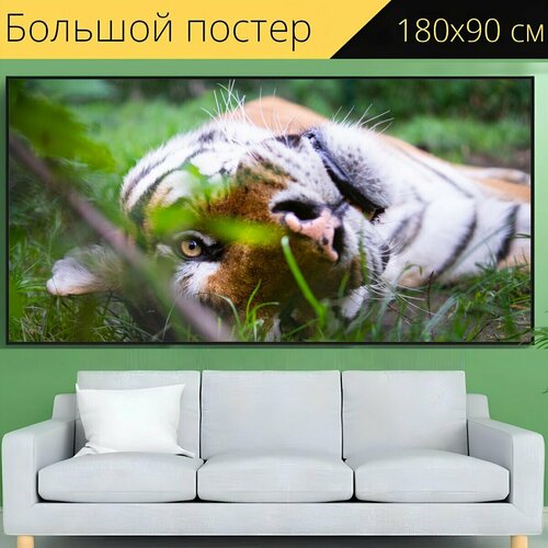 Большой постер "Тигр, королевский тигр, кот" 180 x 90 см. для интерьера