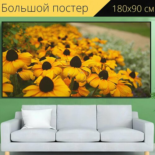 Большой постер "Эхинацея растение, желтый цветок, желтые цветы" 180 x 90 см. для интерьера