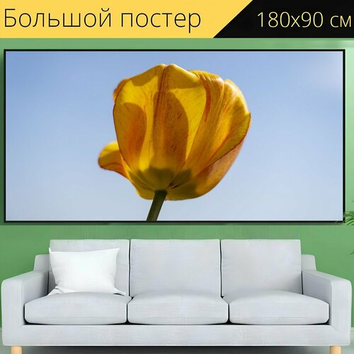 Большой постер "Тюльпан, цветок, сад" 180 x 90 см. для интерьера