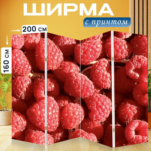 Ширма перегородка с принтом "Малина, фрукты, ягода" на холсте - 200x160 см. для зонирования, раскладная