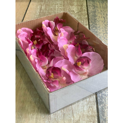Головка фаленопсиса/орхидеи, розовая, малая, 12 шт Nova Nature