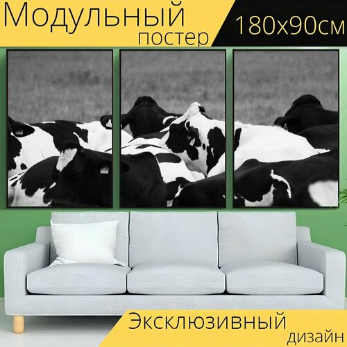 Модульный постер "Коровы, пастбище, чернить" 180 x 90 см. для интерьера